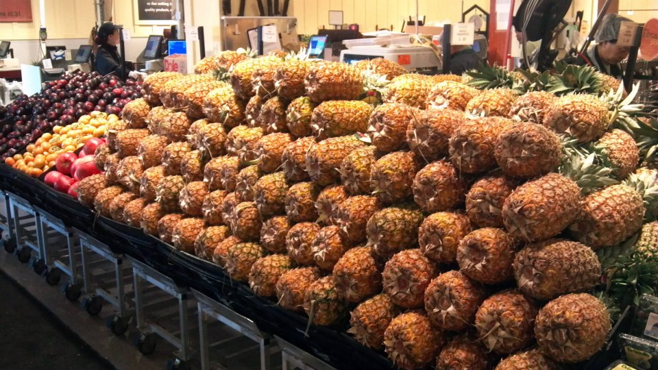 Photos | Freshfields Farm