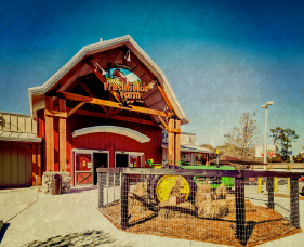 JAX | Freshfields Farm