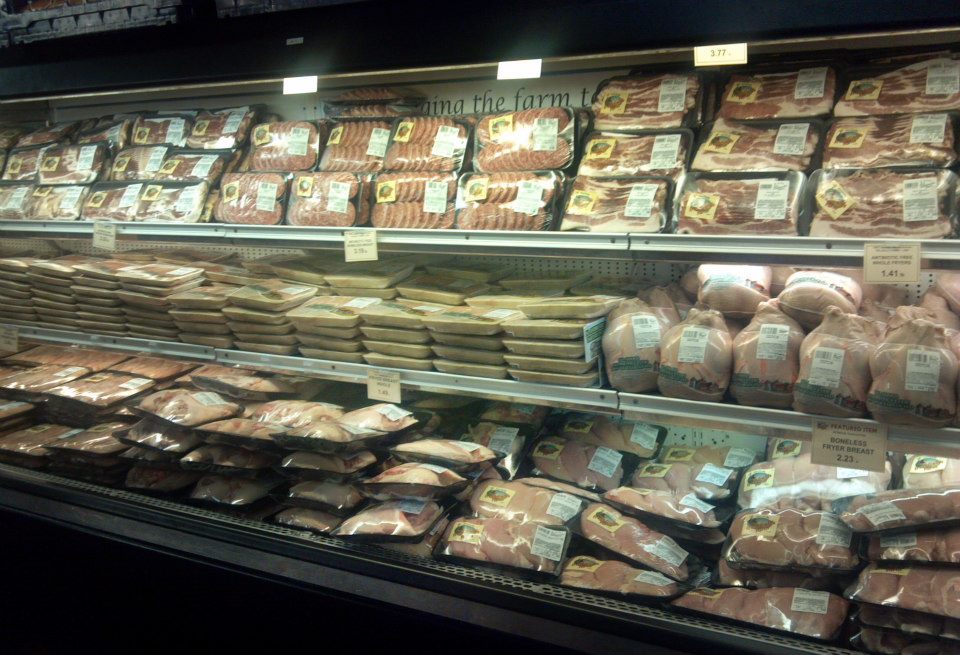 Photos | Freshfields Farm