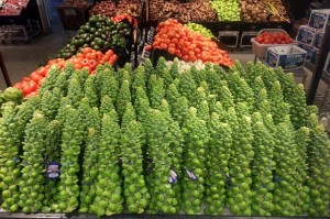 Photos | Freshfields Farm