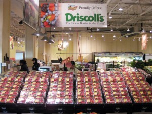 Photos | Freshfields Farm