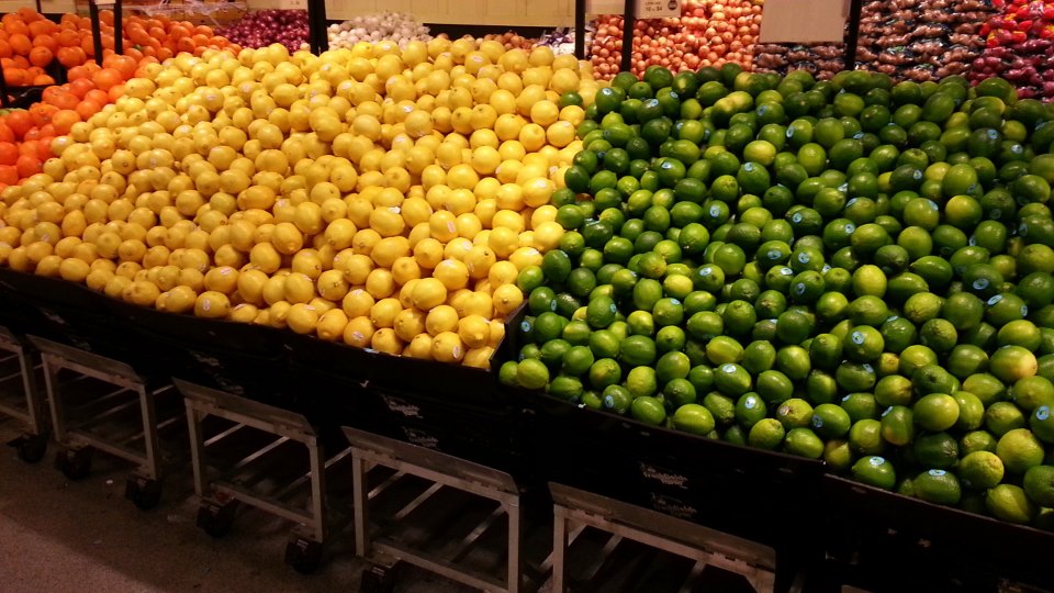 Photos | Freshfields Farm